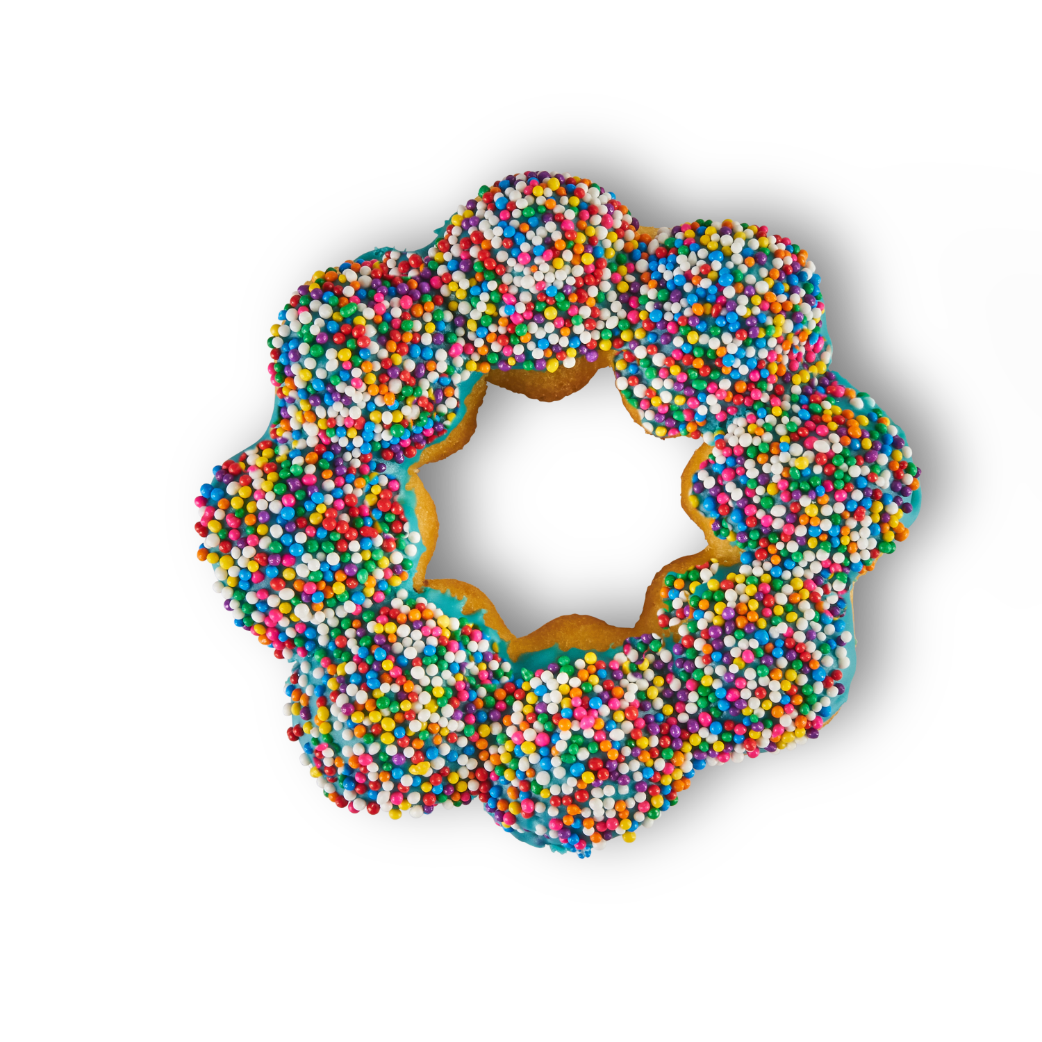 Hello Hilo | Hello Hilo