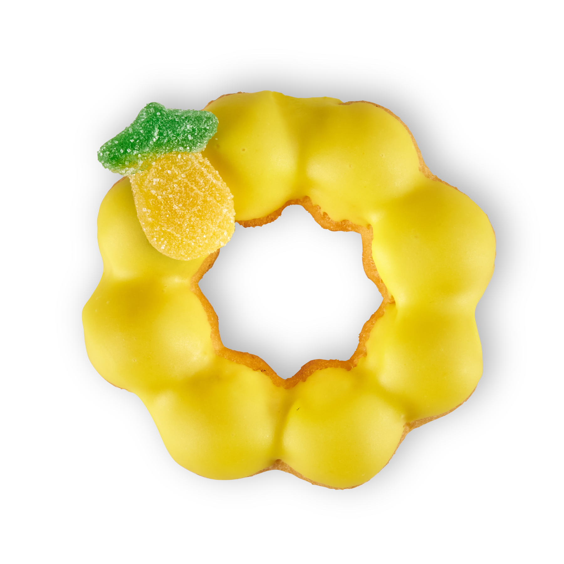 Hello Hilo | Hello Hilo